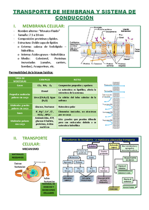 Región Rupa Rupa y Región Omagua Para Segundo Grado de Secundaria ...