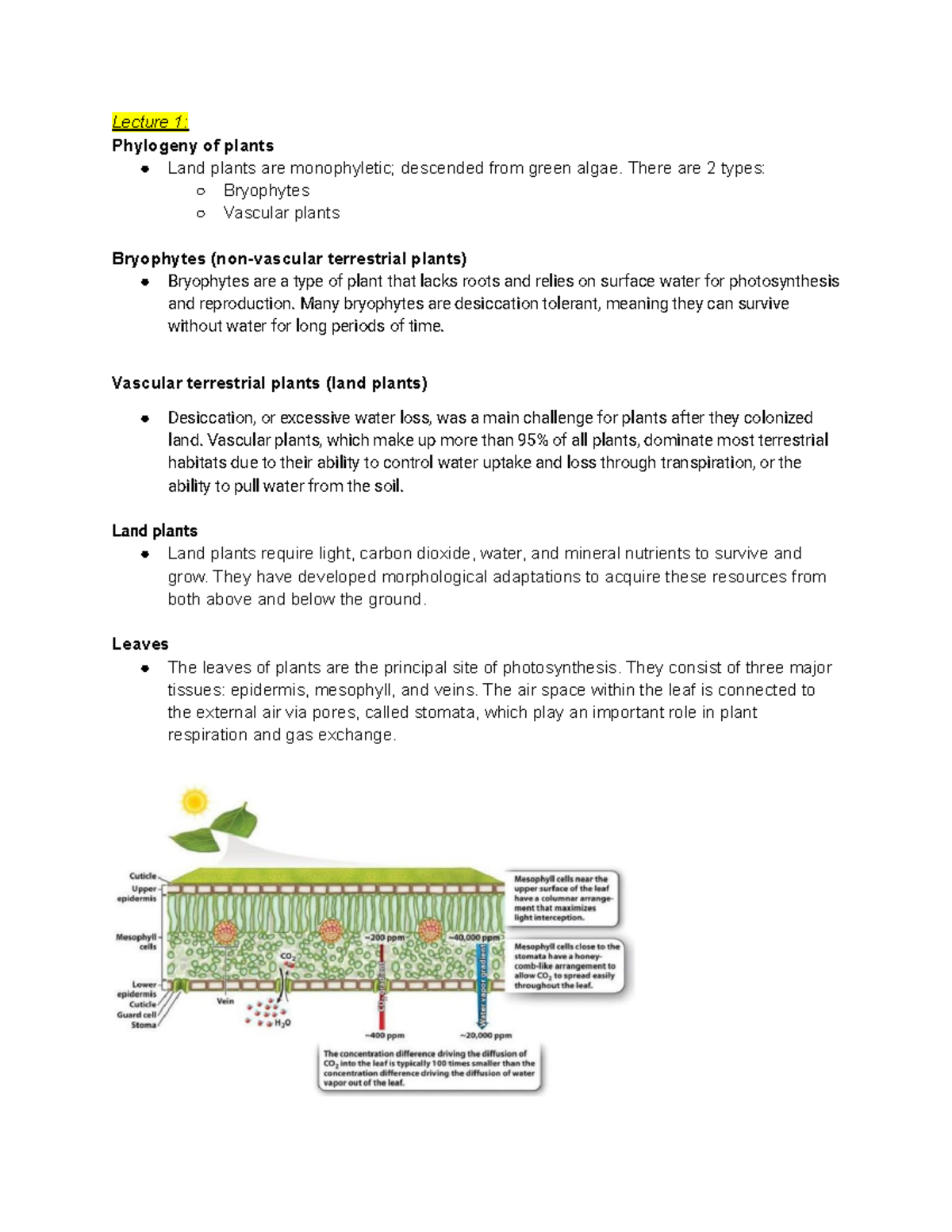 Copy of Bio Module 1 Lecture review - Lecture 1: Phylogeny of plants ...