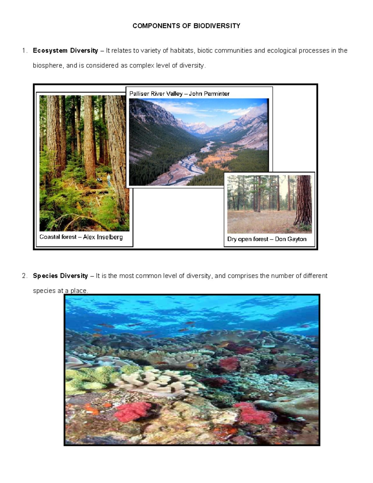 Components of Biodiversity - Bachelor of Secondary Education ...