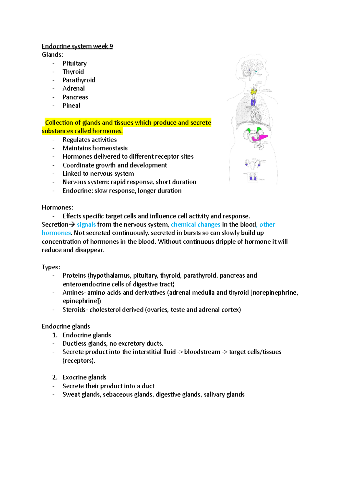 Endocrine system week 9 - Regulates activities - Maintains homeostasis ...