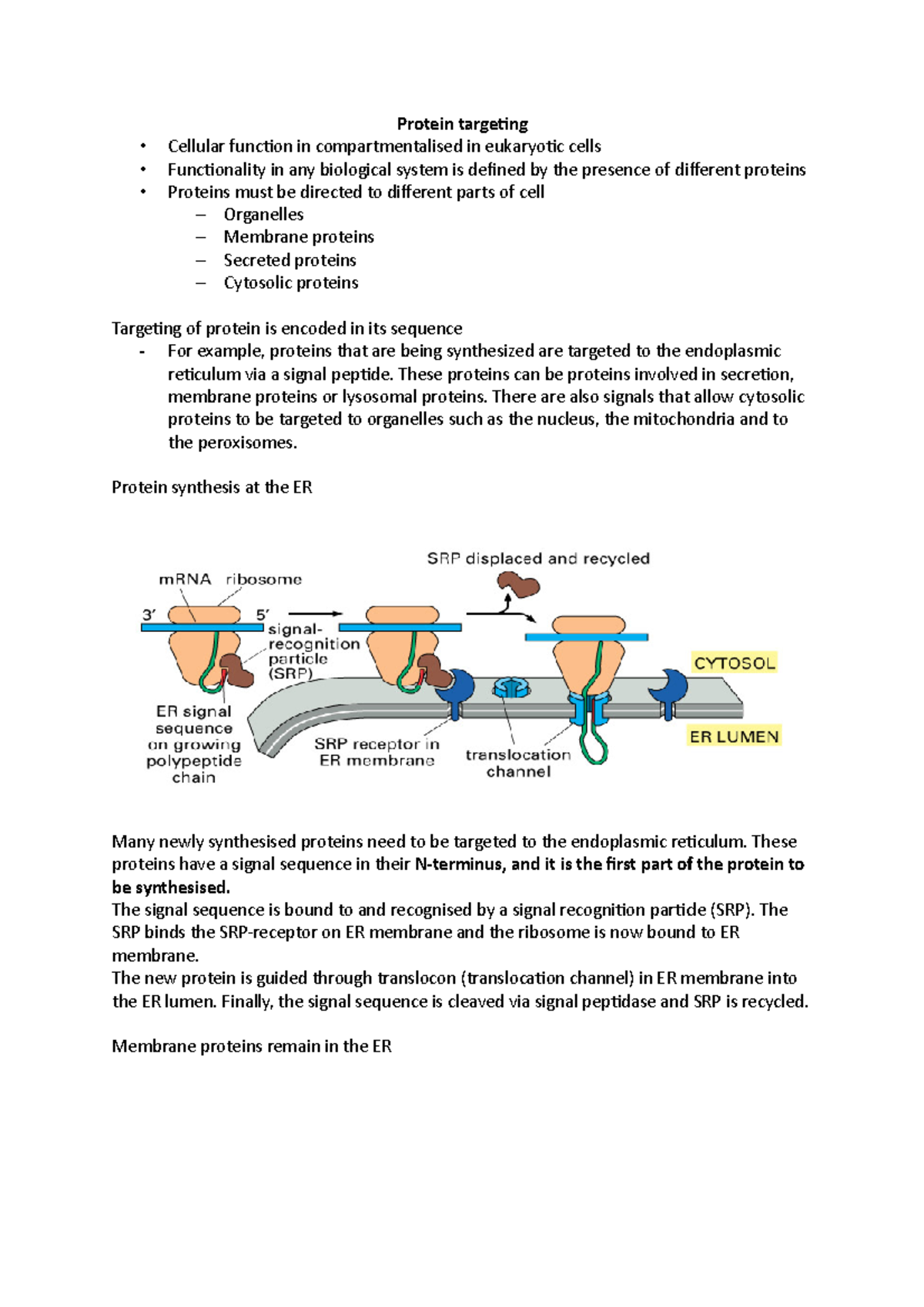 Protein targeting - N/A - Protein targeting Cellular function in ...