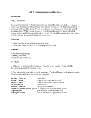 Vertebrate Lab Packet - Lab 4 & 5. Comparative Vertebrate Anatomy ...