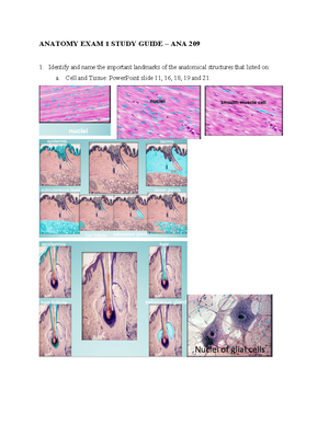 5. Muscle histology Handout - **Types of muscles and characteristics ...
