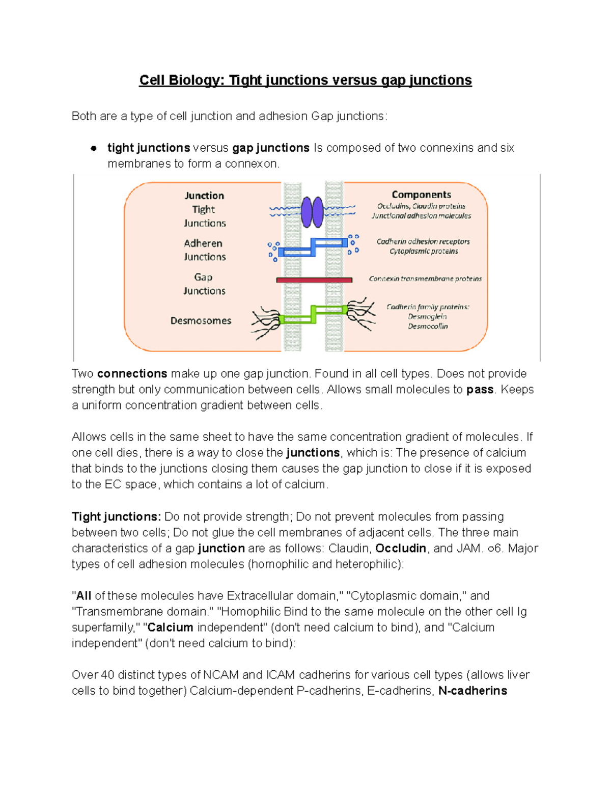 Cell Biology Tight junctions versus gap junctions - Two connections ...