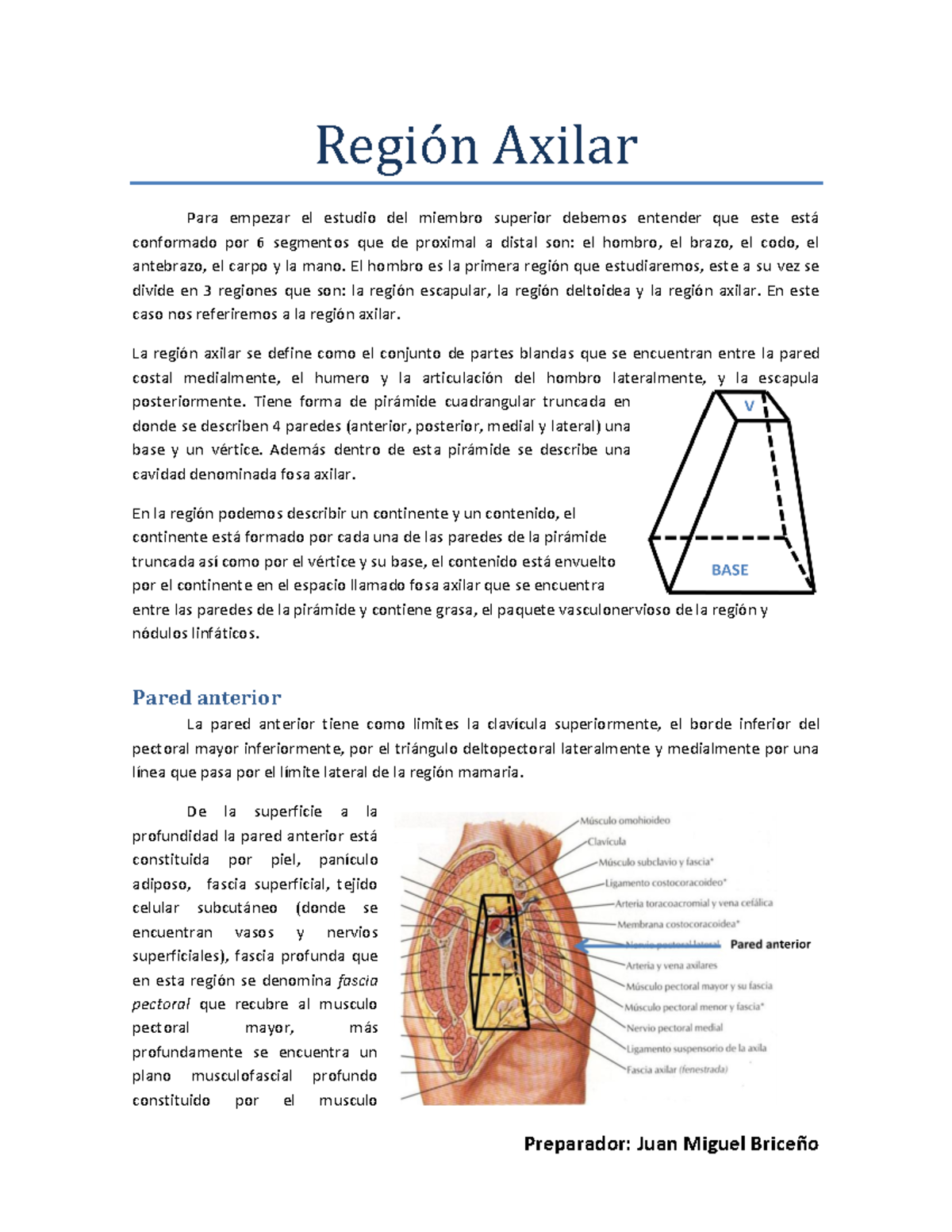 Guia región axilar - Región Axilar Para empezar el estudio del miembro ...