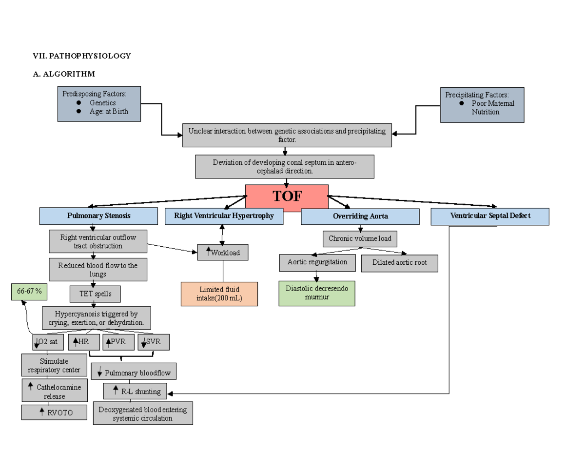 Pathophysiology TOF - READ - VII. PATHOPHYSIOLOGY A. ALGORITHM ...