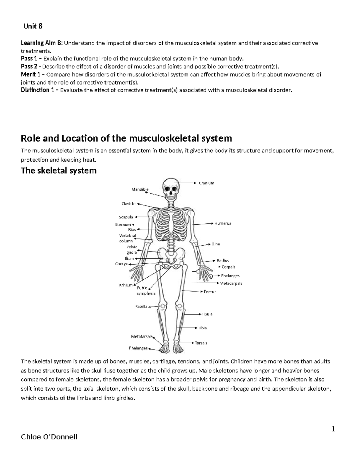 Unit 8 - Musculoskeletal system assignment - Learning Aim B: Understand ...