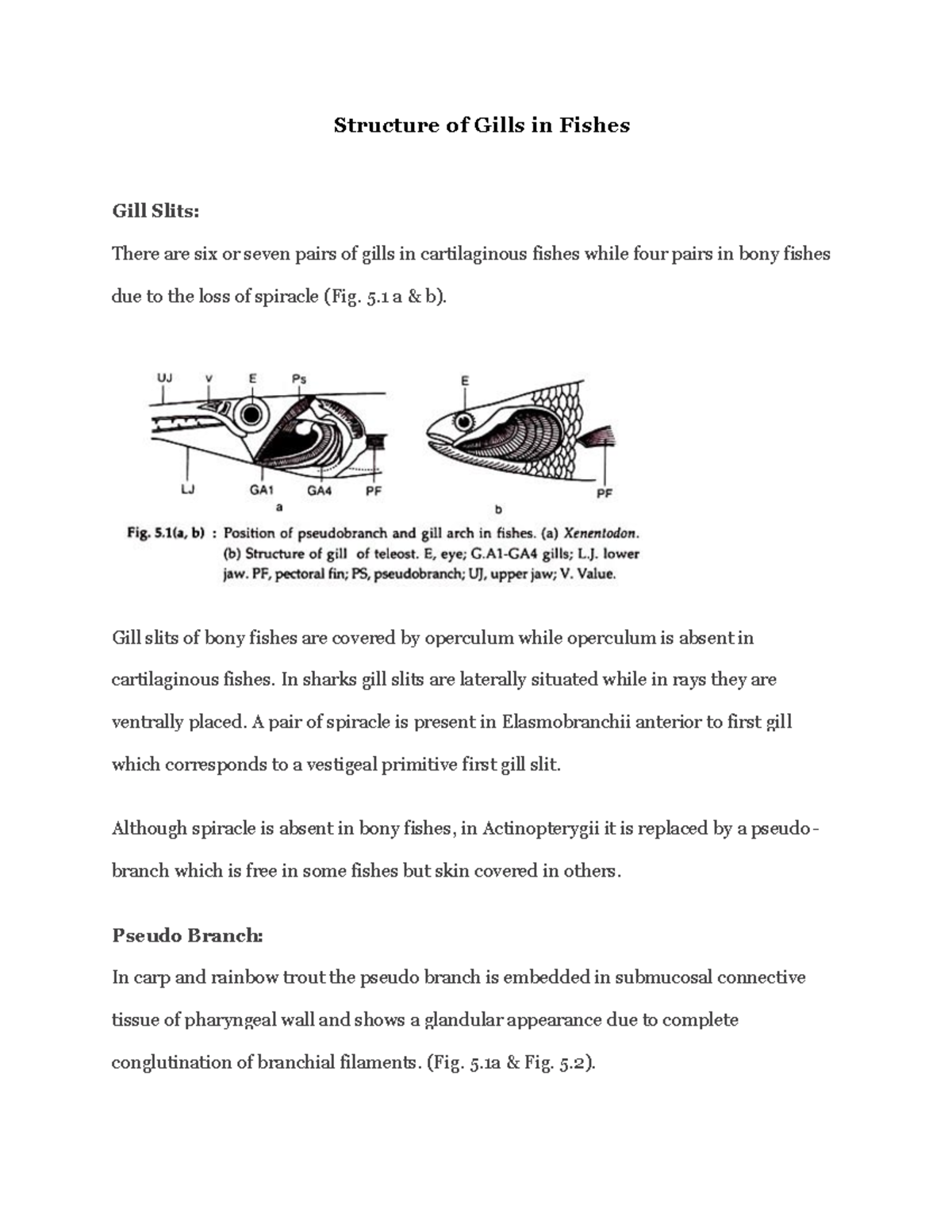 Study Material CC8 31 - Easy notes for genetics - Structure of Gills in ...