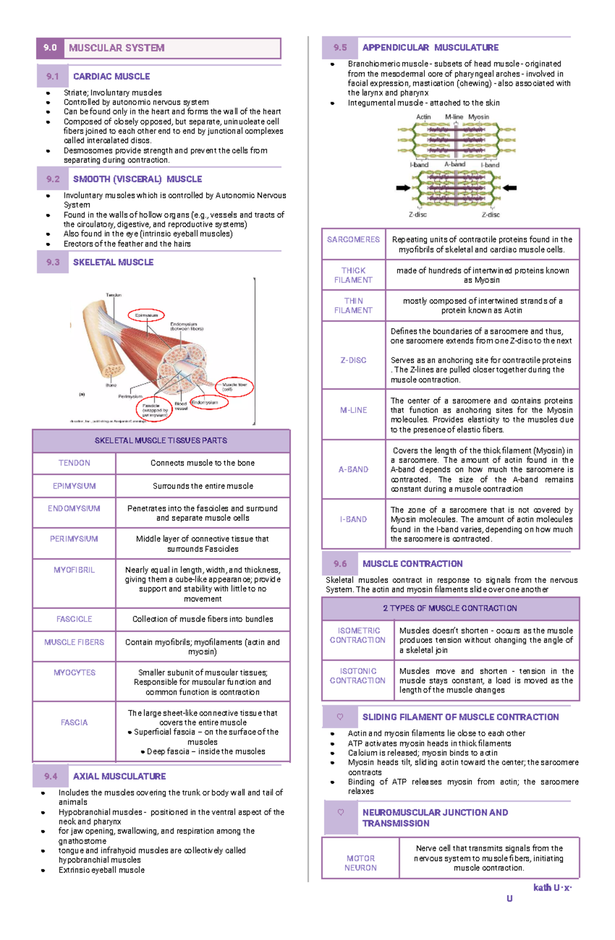 Muscular System - 9 MUSCULAR SYSTEM 9 CARDIAC MUSCLE Striate ...