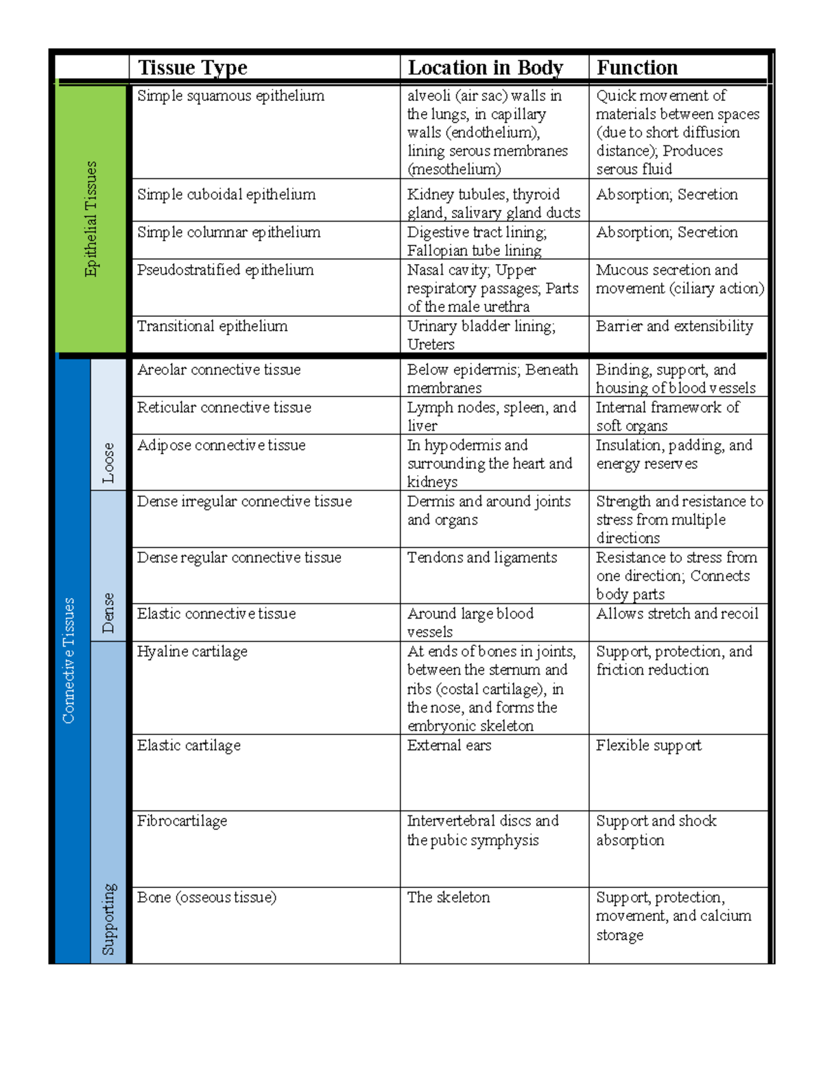 Addendum to Study Guide on Tissues - Tissue Type Location in Body ...