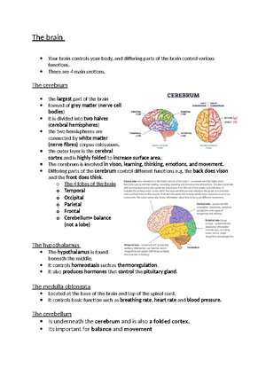 Aerobic respiration - Edexcel salters nuffield a level biology post ...