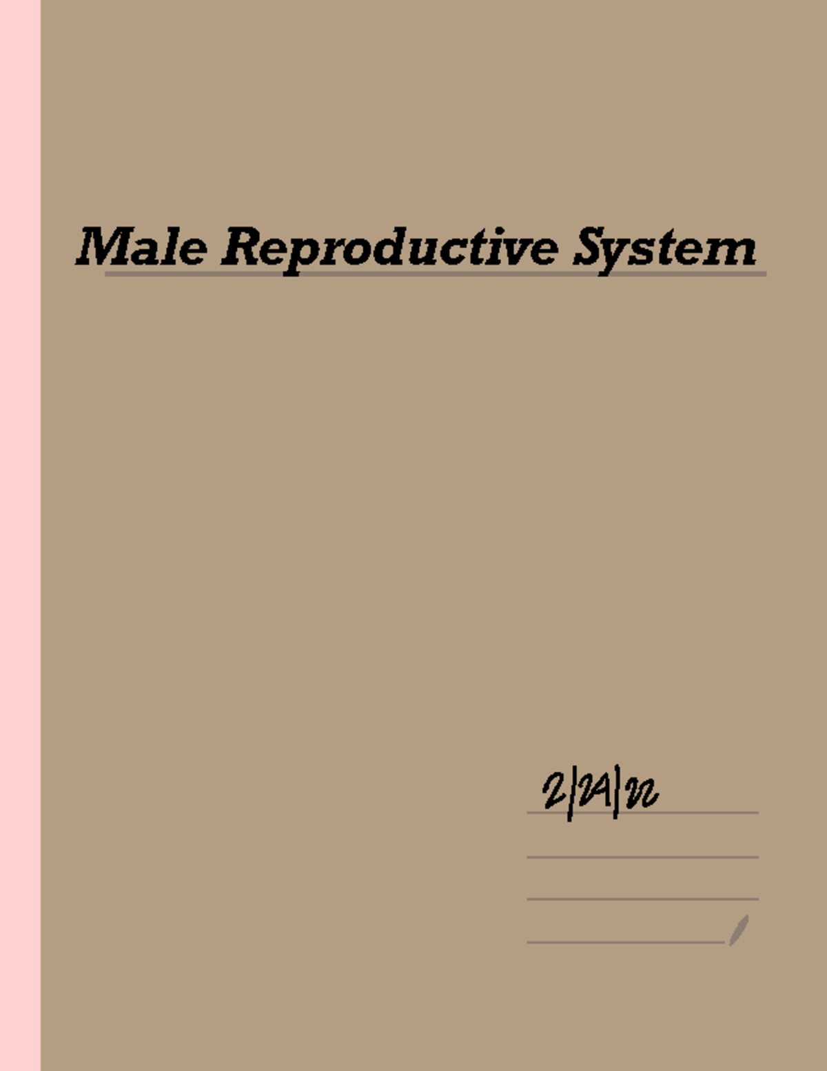 BIO 327 Male Reproductive System Lecture - Male Reproductive System ...