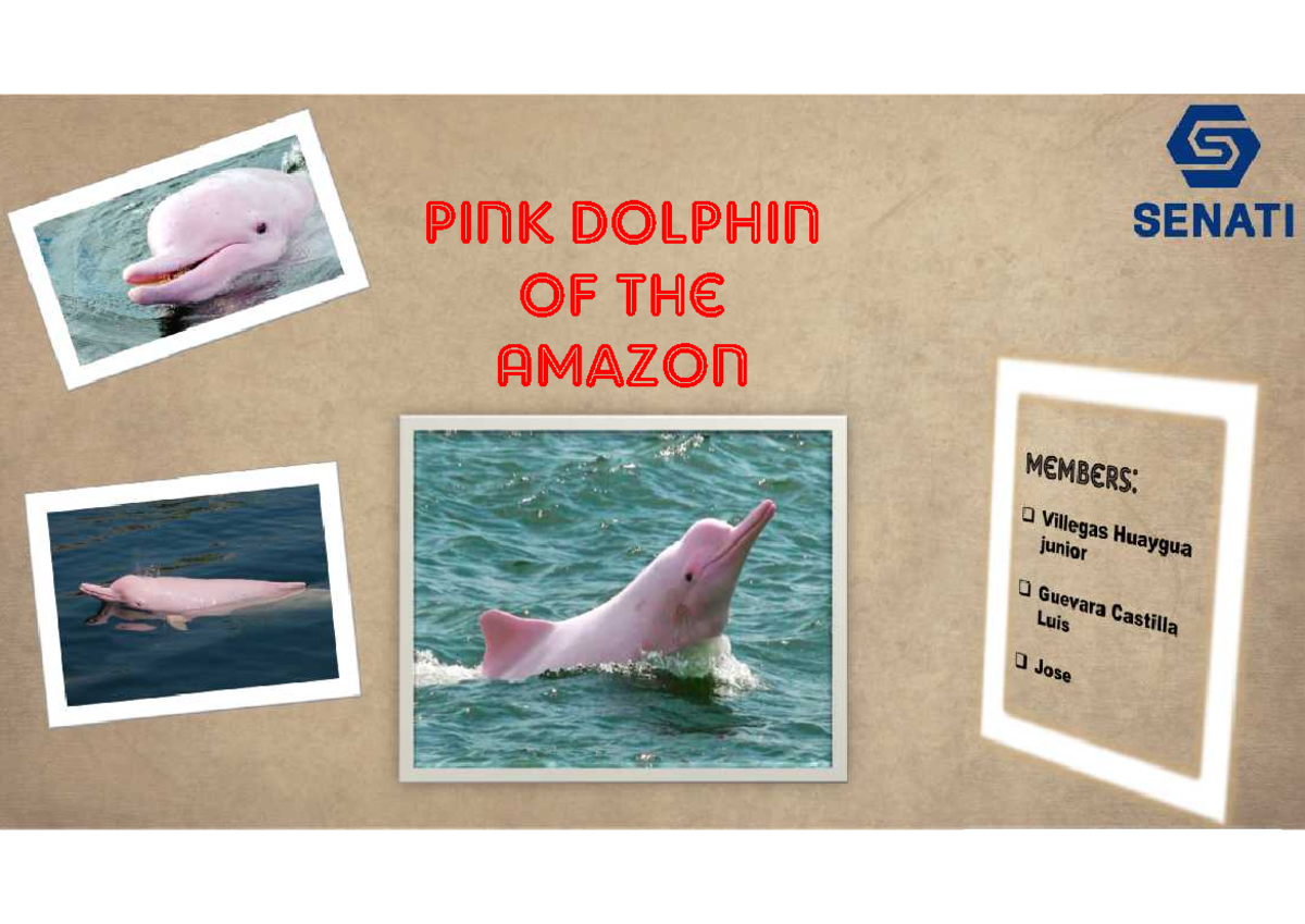 Trabajo Ingles - Pink dolphin of the Amazon TABLE OF CONTENTS This is ...