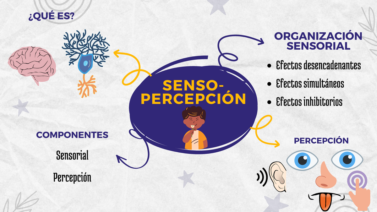 Sensopercepción - COMPONENTES ¿QUÉ ES? ####### ORGANIZACIÓN ...