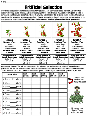 Bees - Why bees are a keystone species - Dr. Jesse Eiben - 1. Bees 2 ...