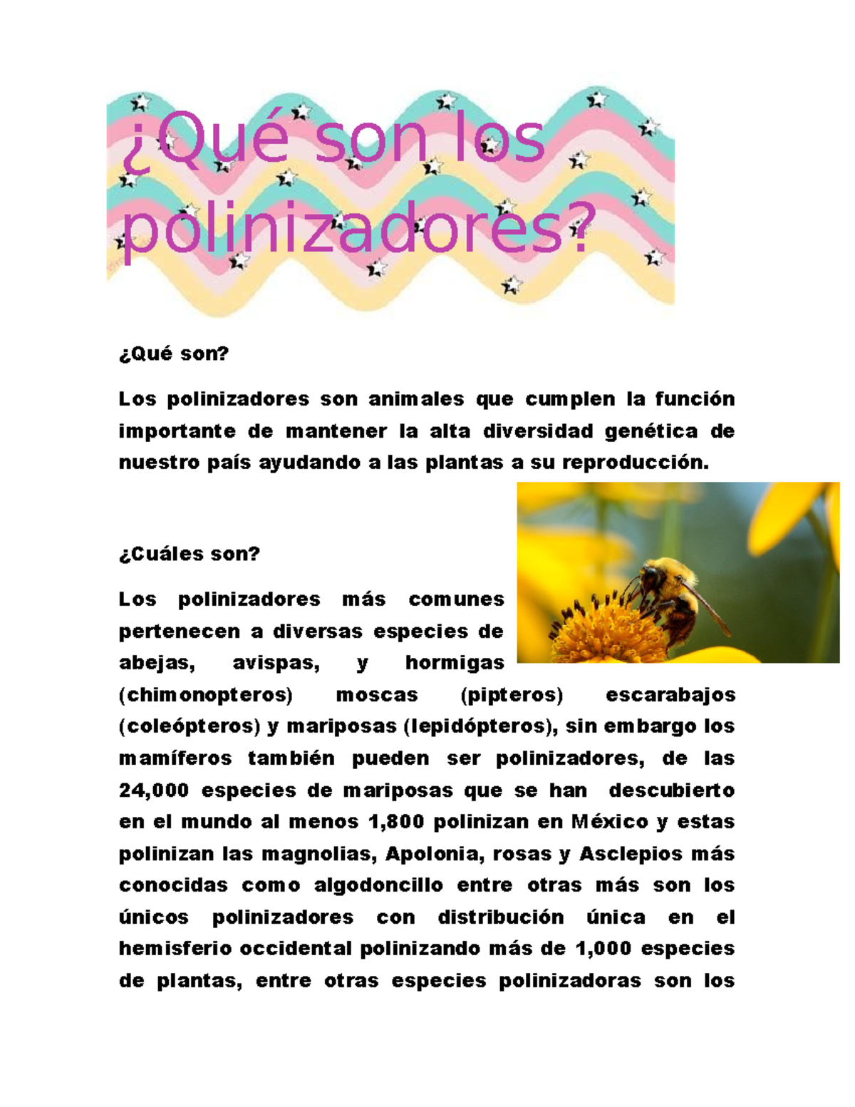 Qué son los polinizadores vrvrjvjkrrrrrrrrrrrfvdvdhhdhchdchdhchdchjjd ...