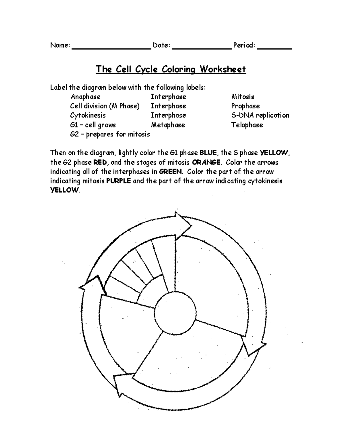 Kami Export - Eli Ruiz - Kami Cell Cycle - Name: Date: Period: The Cell ...
