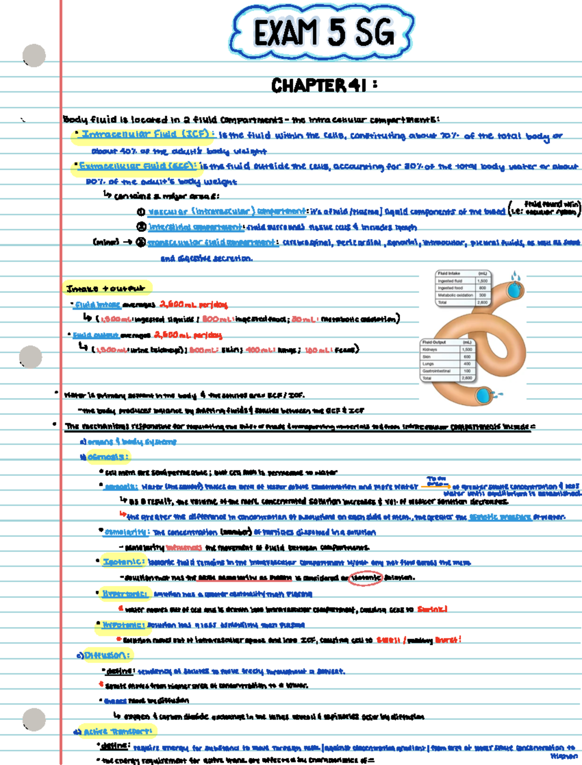 Exam 5 SG - Ch 44. 22, 41, 3 - ####### Osc saw C 3 I Iii in Is io ex L ...