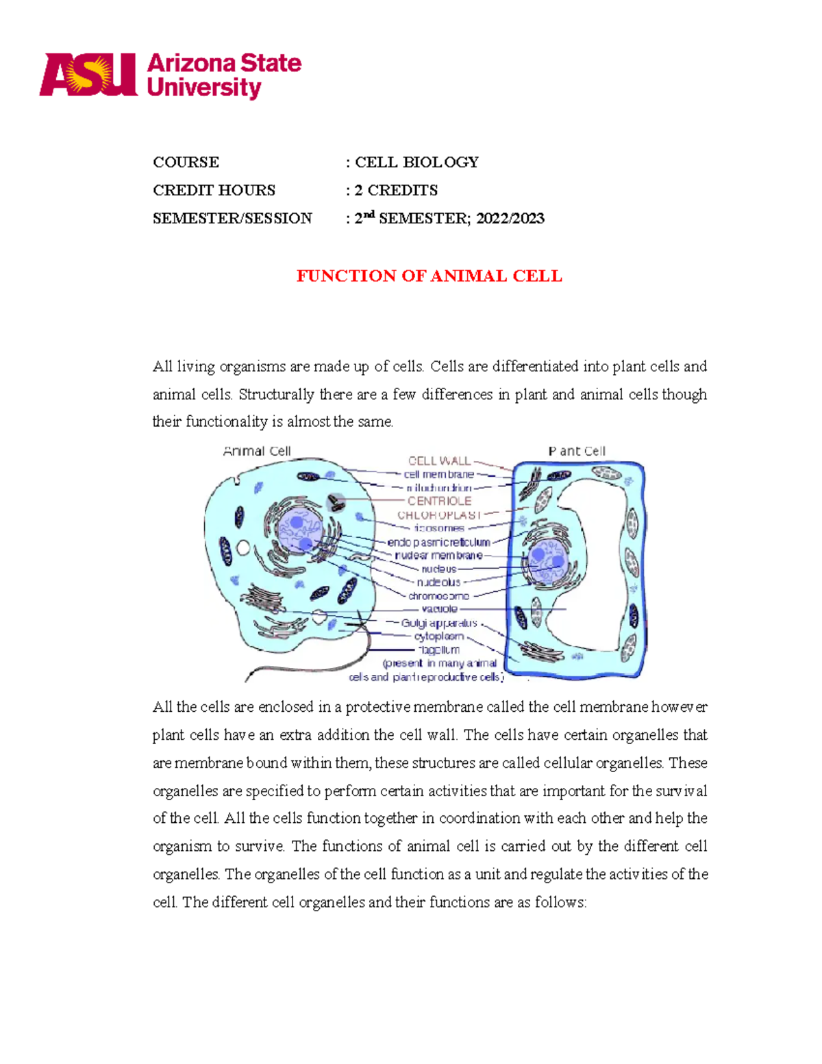 Lecturer Notes Function OF Animal CELL - COURSE : CELL BIOLOGY CREDIT ...