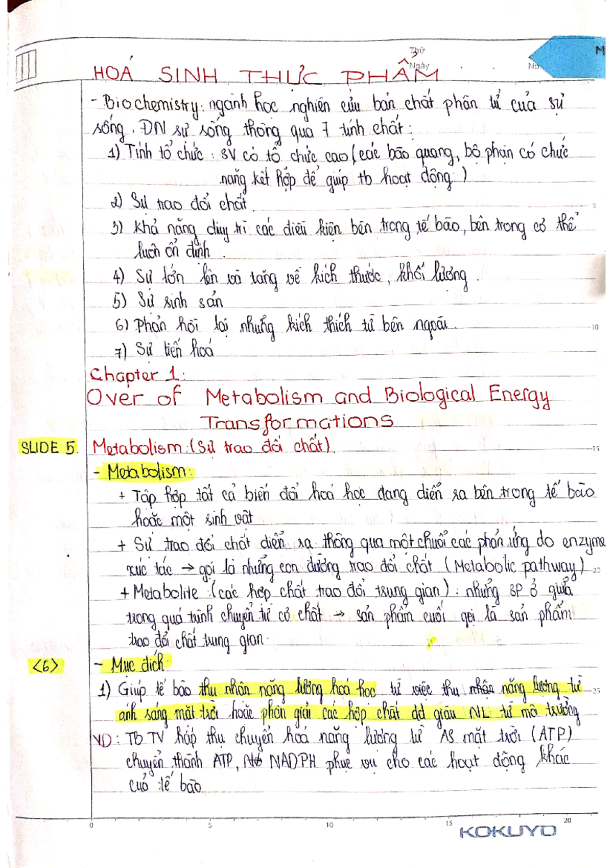 HOÁ SINH TP C1 Metabolism - công nghệ thực phẩm - Studocu