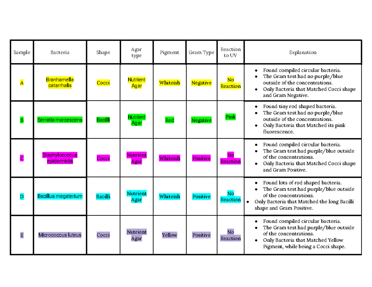 Nutrient Agar Tryphic Soy Color Shape-3 - Sample Bacteria Shape Agar ...