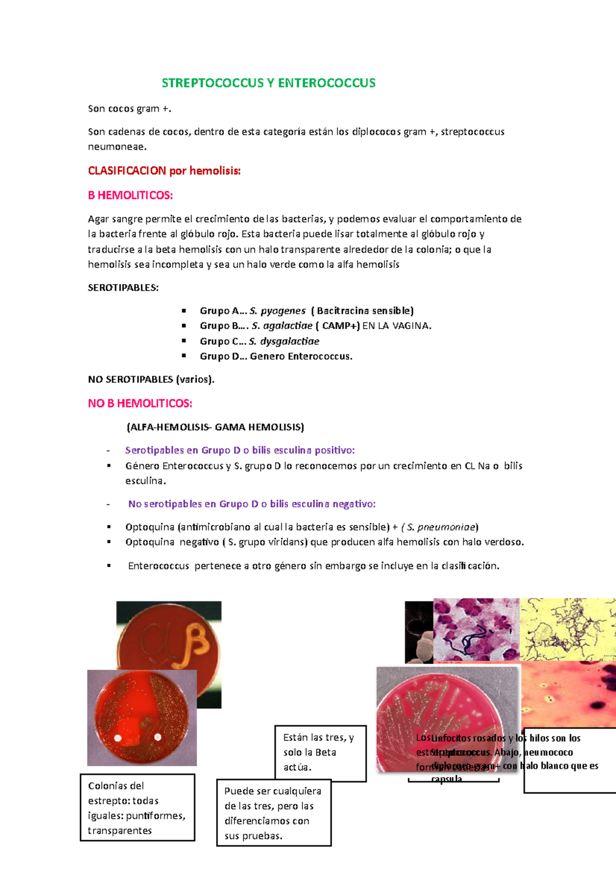 Streptococcus Y Enterococcus - STREPTOCOCCUS Y ENTEROCOCCUS Son cocos gram Son cadenas de cocos ...