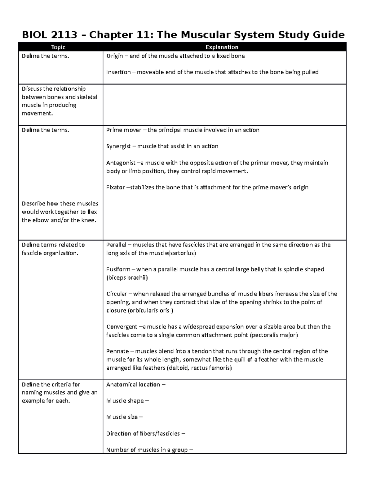 Ch11 Study Notes - BIOL 2113 – Chapter 11: The Muscular System Study ...