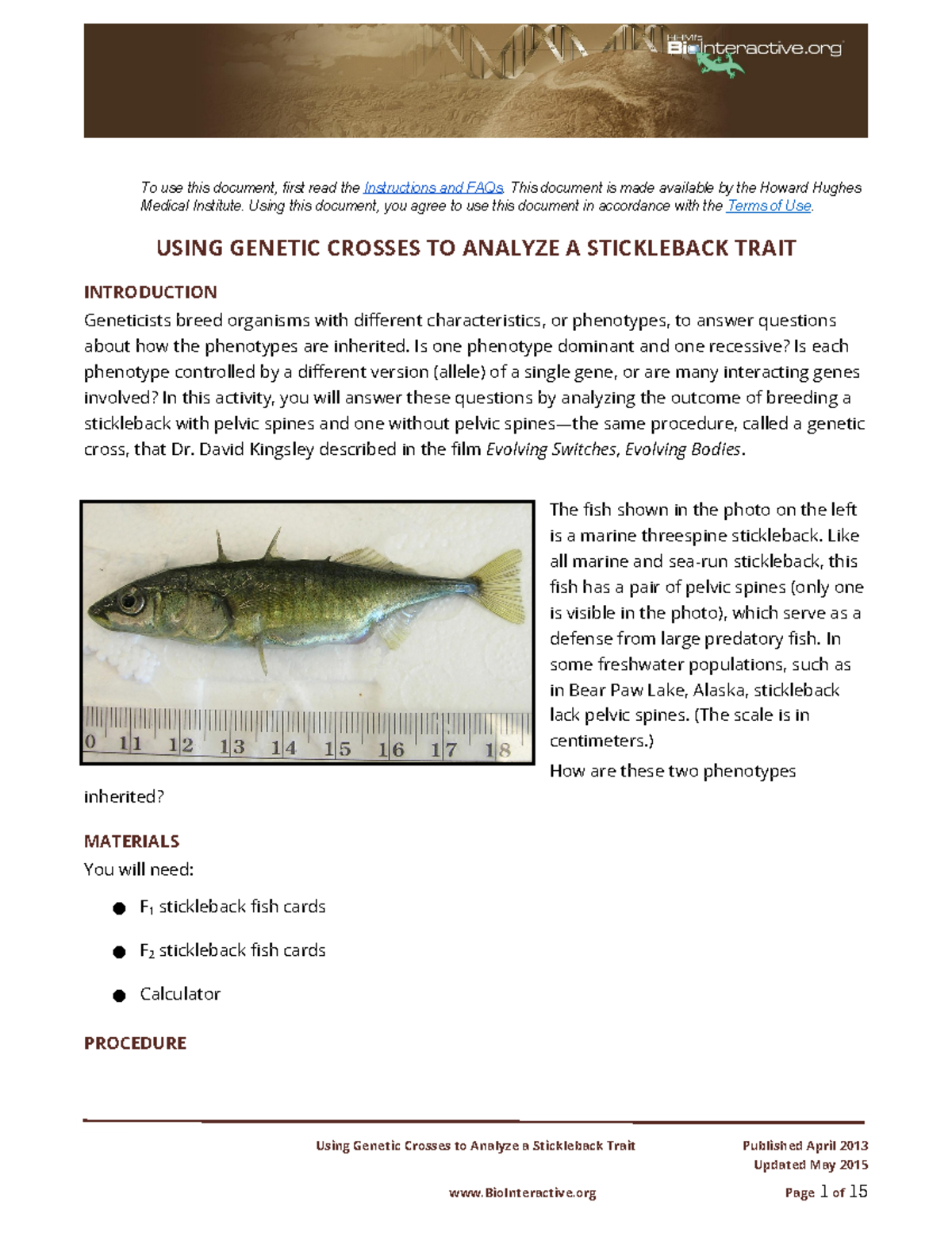 Stickleback+WORD - Sickleback assignment - To use this document, first ...