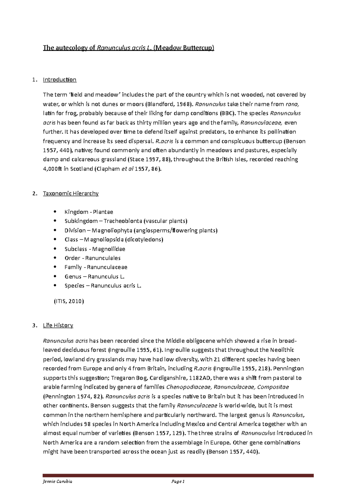 Ranunculus acris L Essay - The autecology of Ranunculus acris L ...