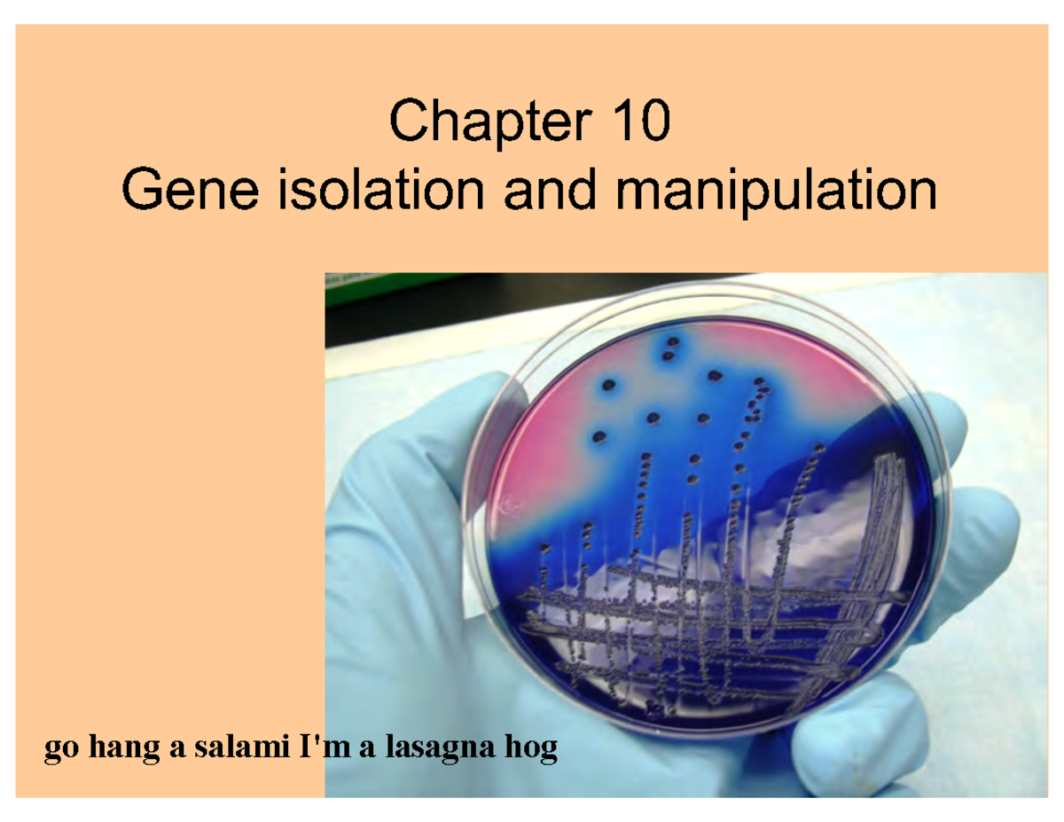 2019 Ch 10 bios 220 v3 - Warning: TT: undefined function: 32 Warning: TT: undefined function: 32 ...