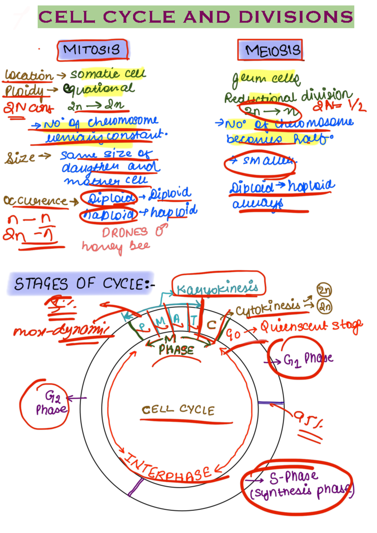 Cell cycle and division class 11th chapter 10 - Bachelor of science ...