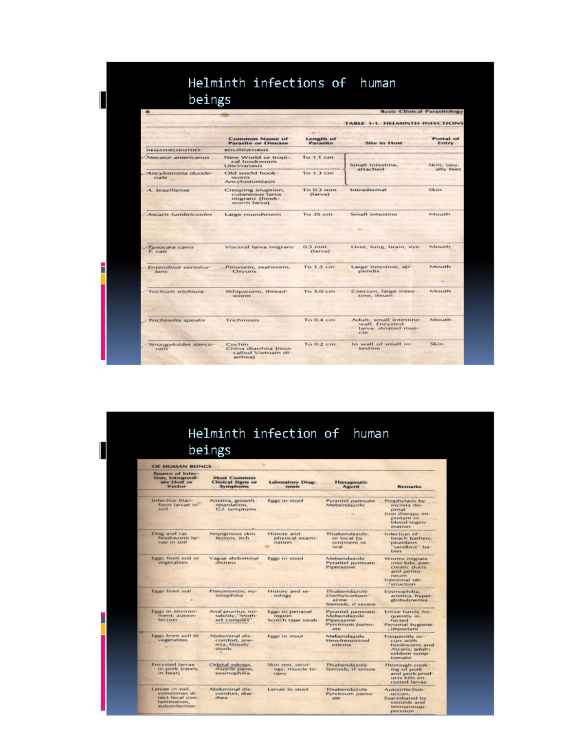 Parasitology - Microbiology and Parasitology - Helminth infections of ...