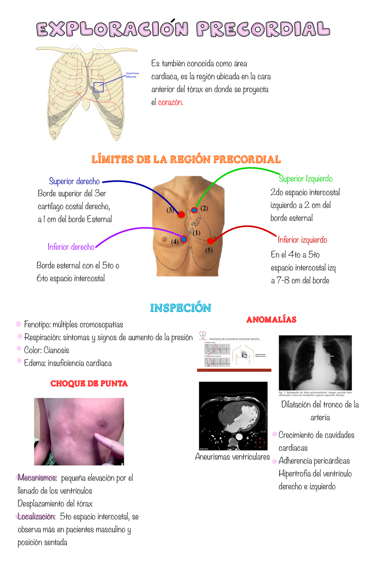Exploración Precordial - Es también conocida como área cardiaca, es la ...