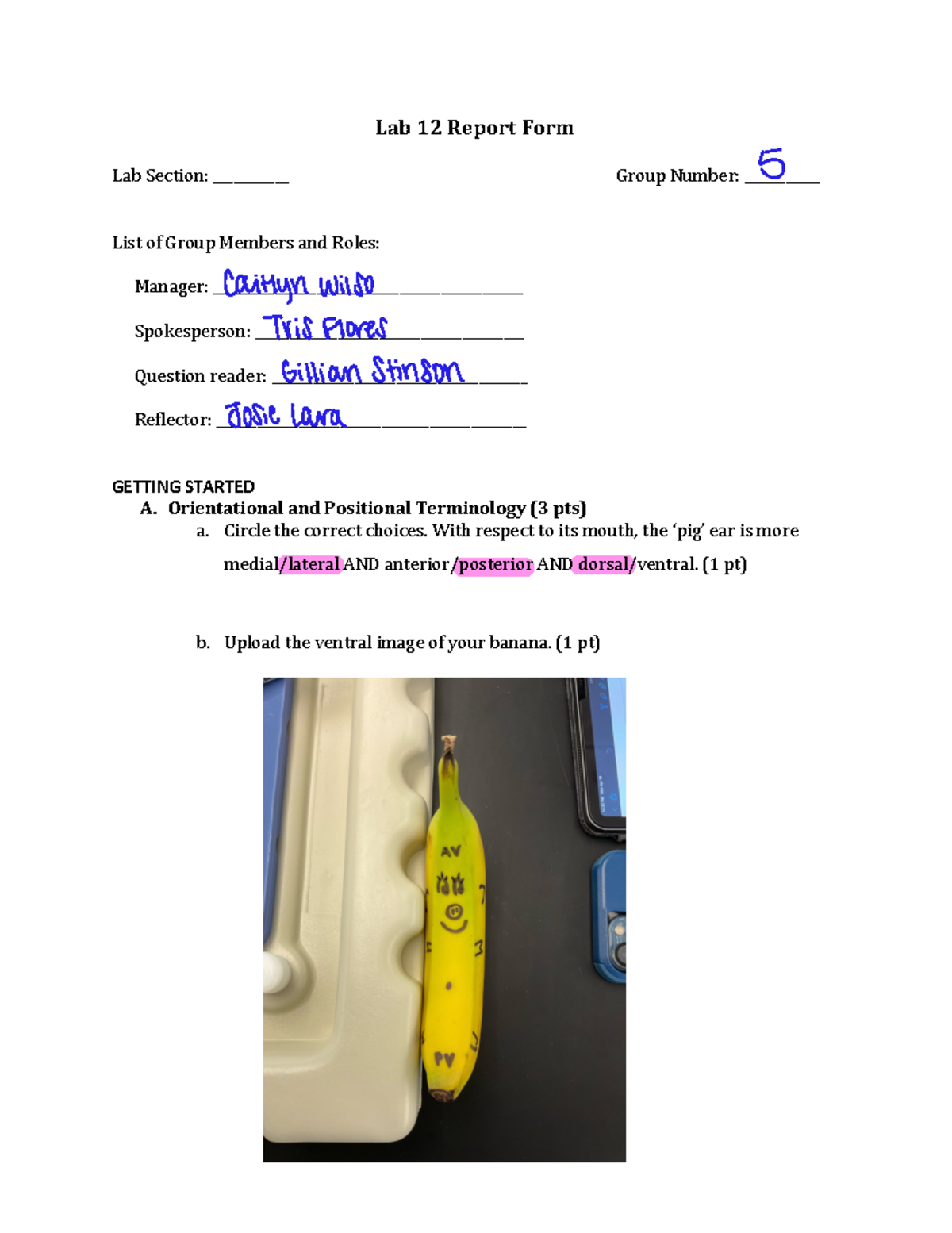 Lab 12 Report Form Summary - Lab 12 Report Form Lab Section: Group Number: 5 List of Group ...
