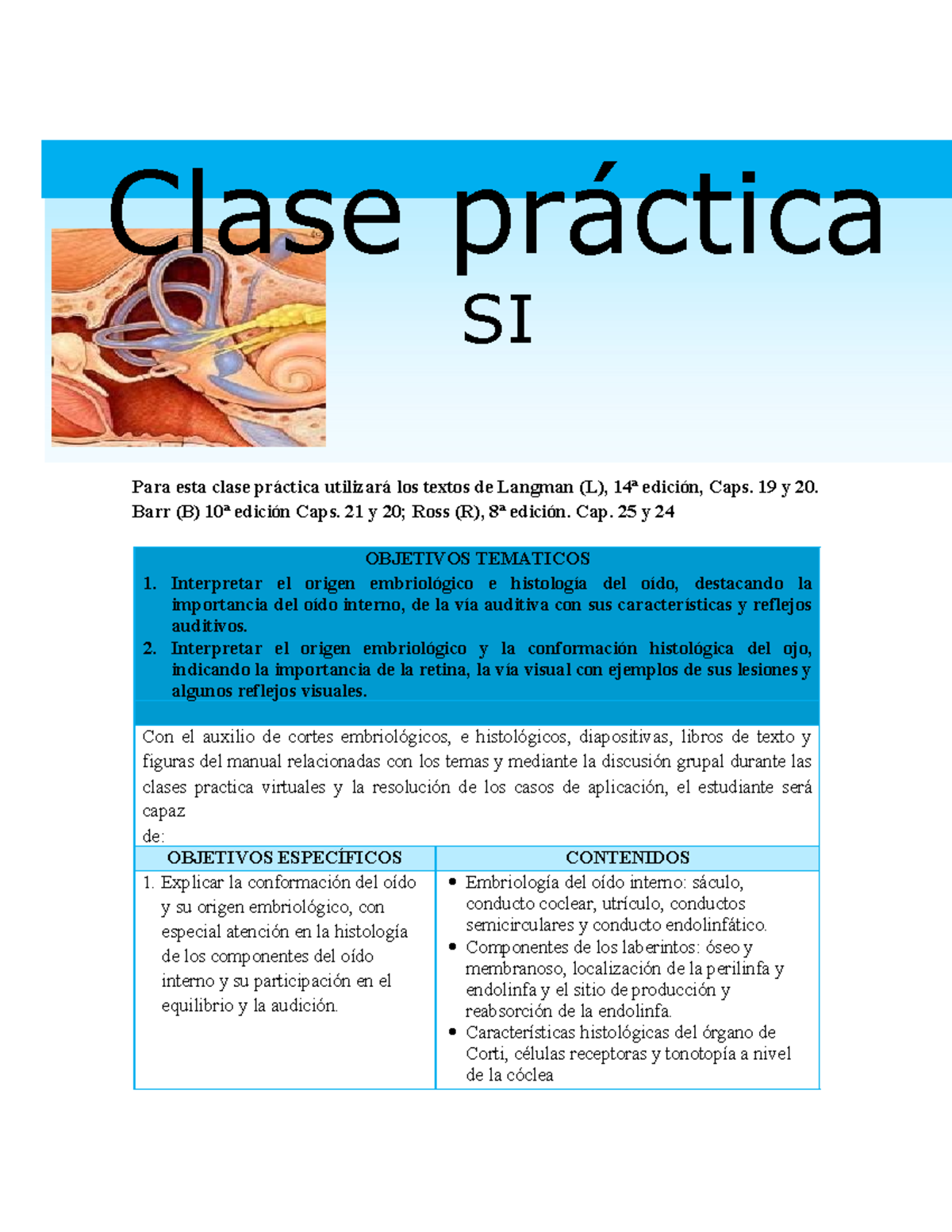 Clase Practica 9 Sistemas Visual Y Auditivo 2024 - Clase práctica SI Para esta clase práctica ...