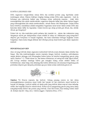 Populasi Morfologi Fenotipe PADA Manusia DAN Dermatoglifi - POPULASI ...