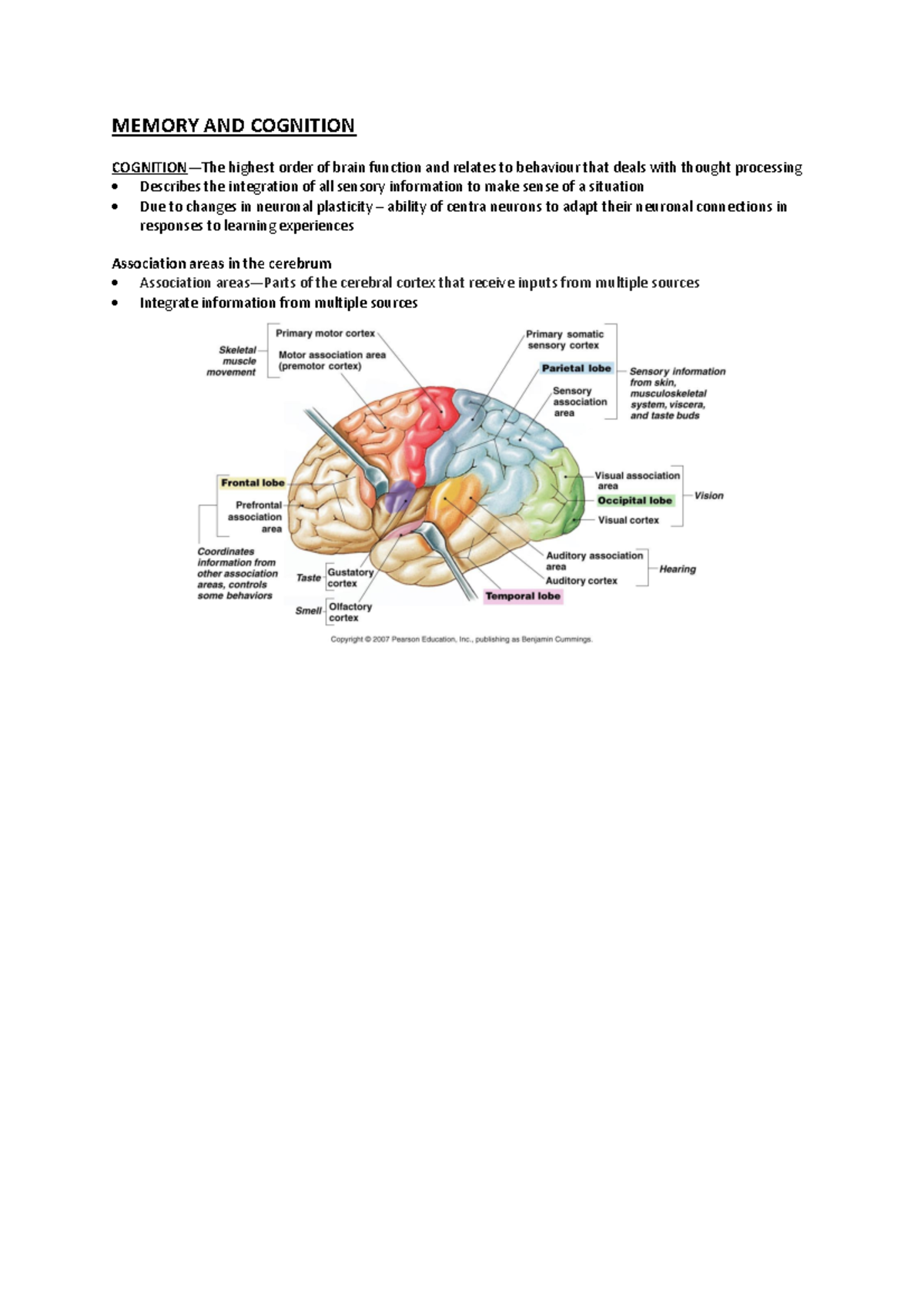 Memory and cognition - MEMORY AND COGNITION COGNITION—The highest order ...