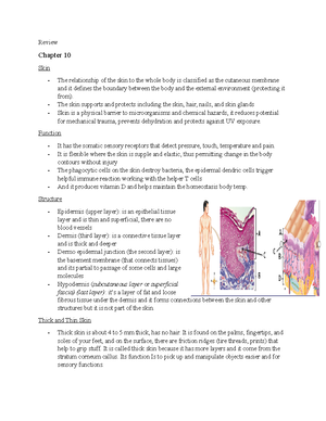 Exam Review Anatomy and Phisology-3 - Exam Review: Anatomy and ...
