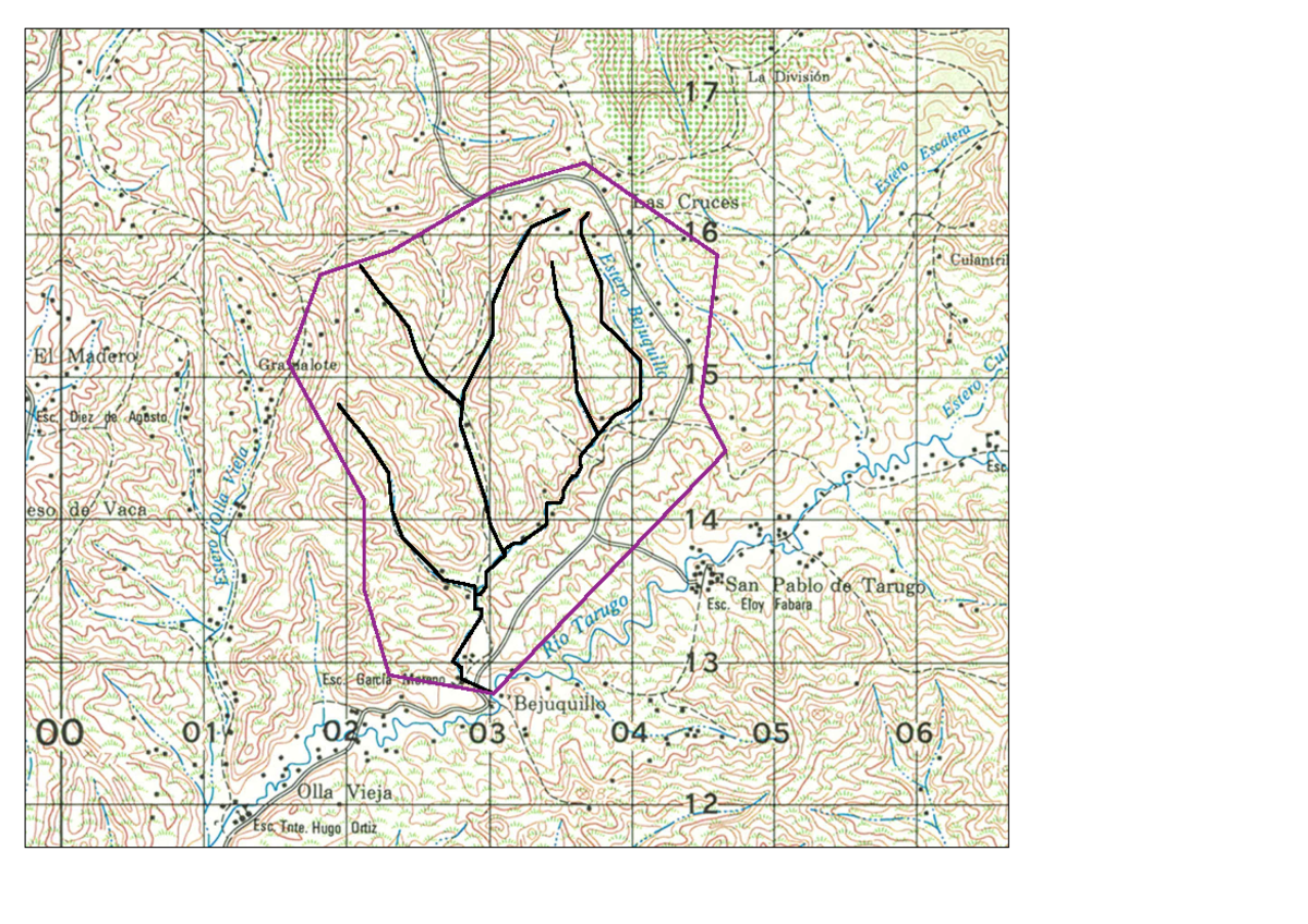 Cuenca DE Chone - Histologia - Studocu