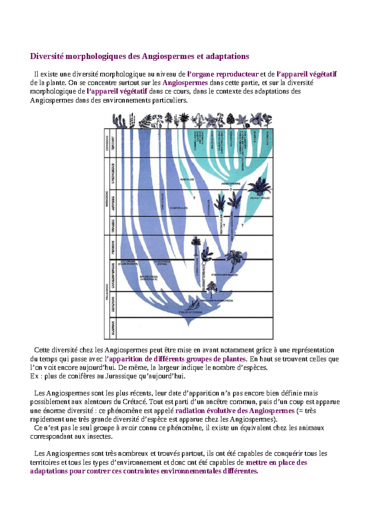 Les adaptations des plantes (partie 1) - Diversité morphologiques des ...