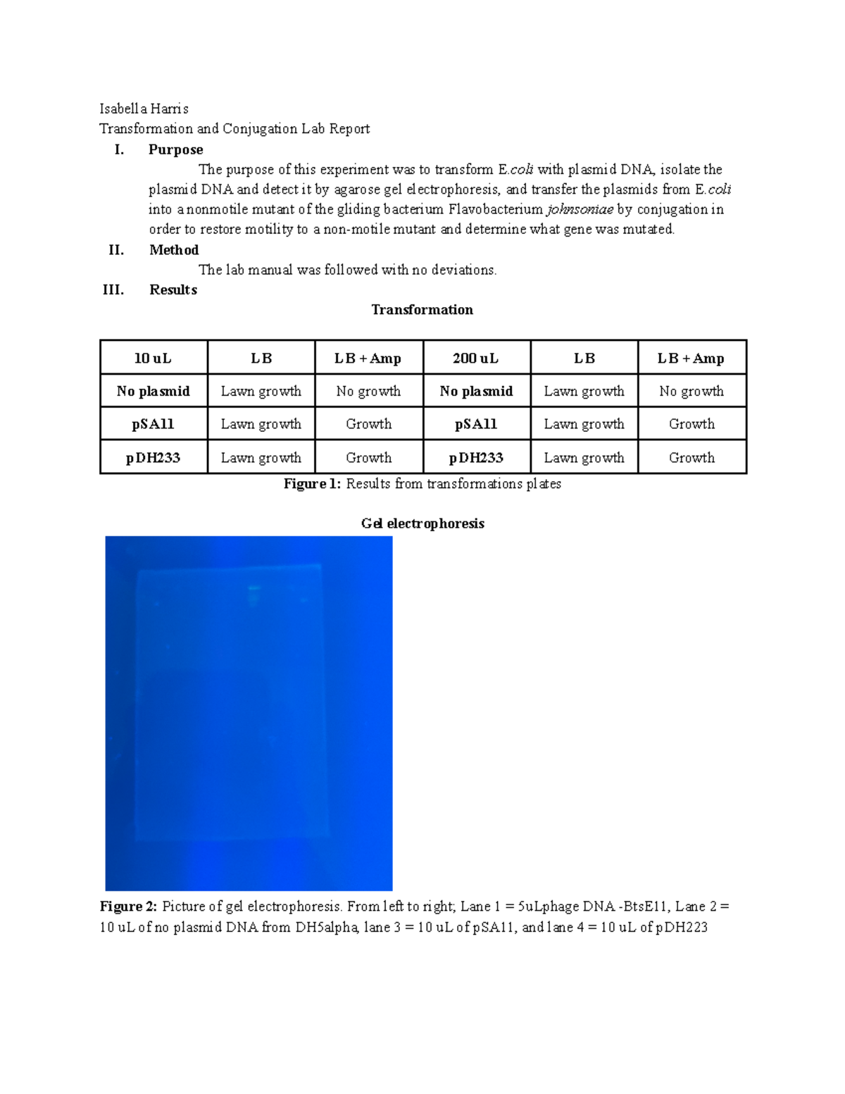 Transformation and Conjugation Lab Report - Purpose The purpose of this ...