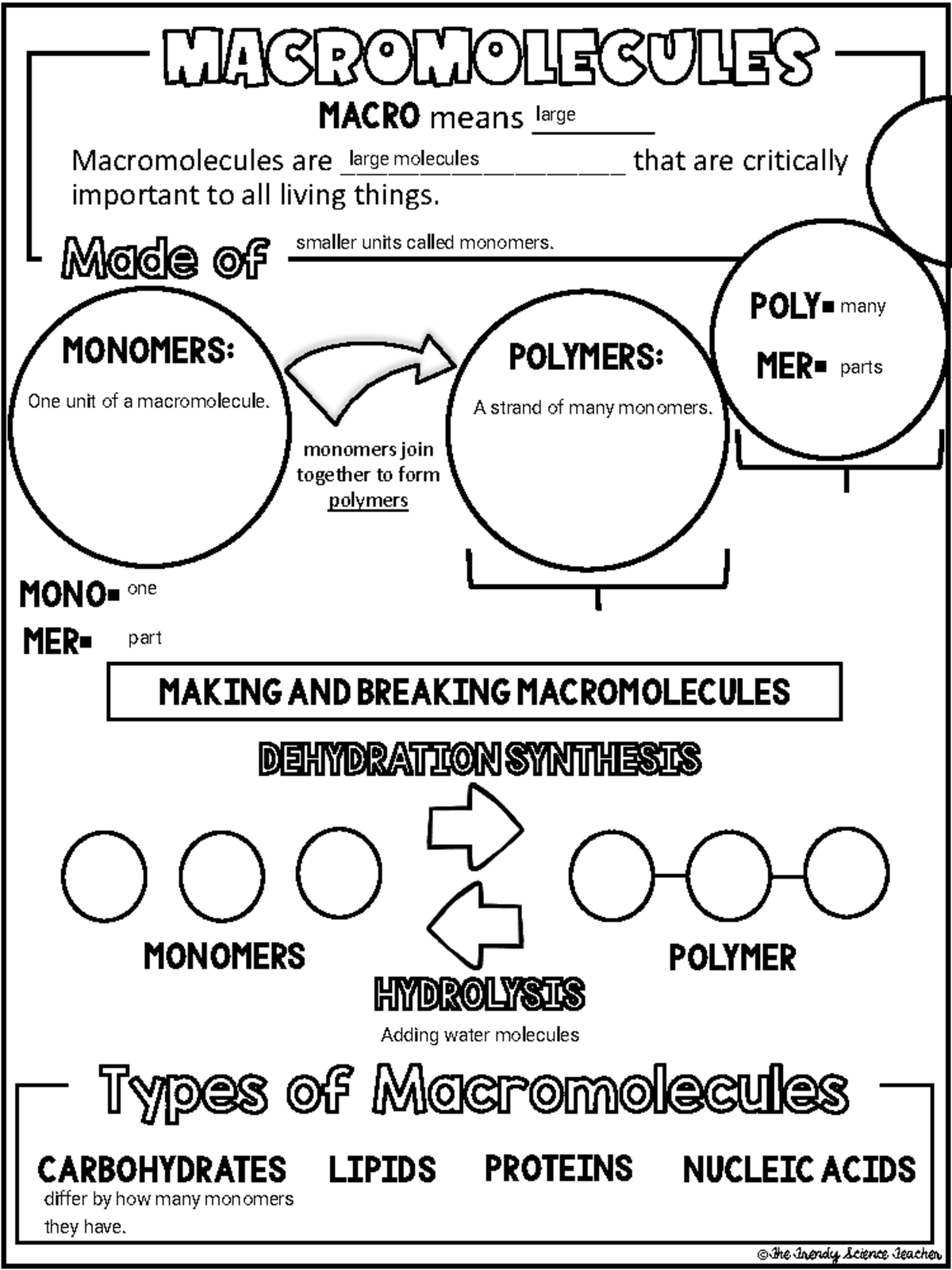 Lamont Mc Dowell - Macromolecules Notes - Macro means _______ Monomers ...