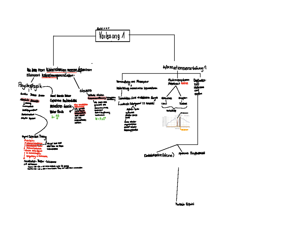 Conceptmap Wahrnehmung - Kapitel1oz Photorezeptoren Empfindlich NetzhautRetina keit ...