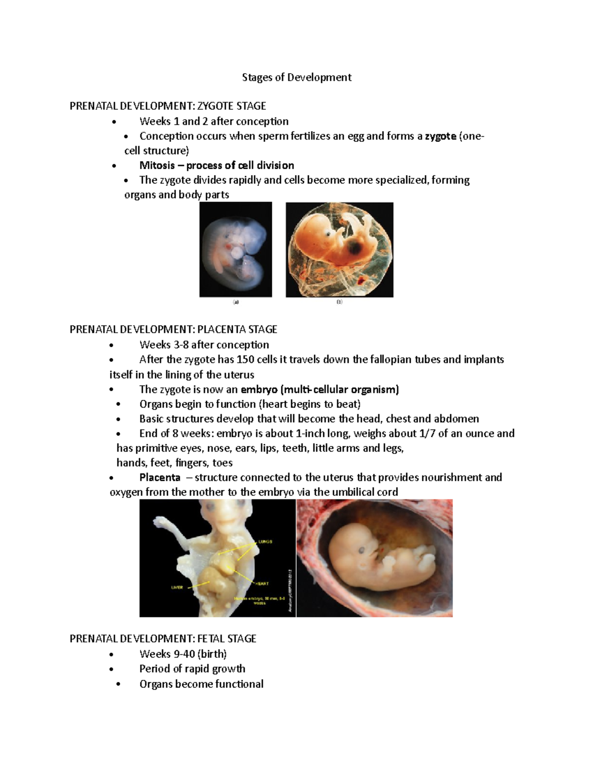 Stages of Development - Kelly Clark Fall 2021 - Stages of Development ...