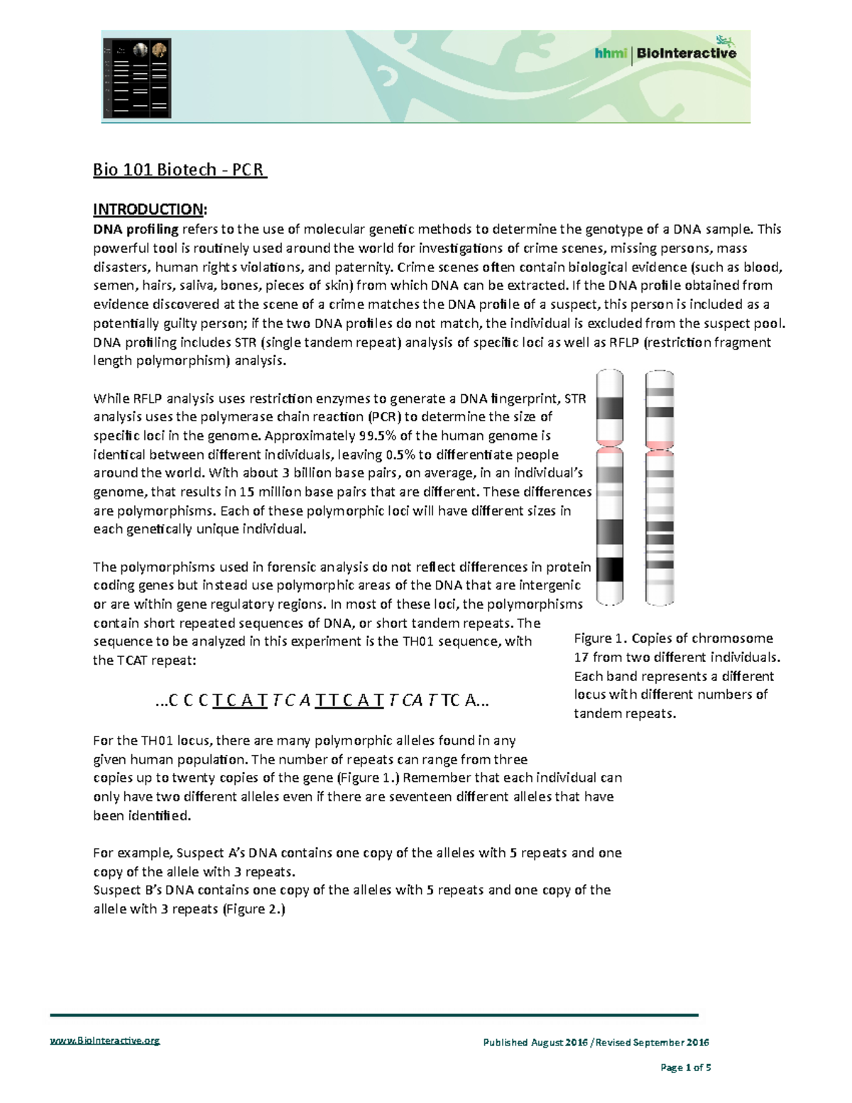 Virtual Biotech lab - lab work we did in class - Click and Learn CSI ...