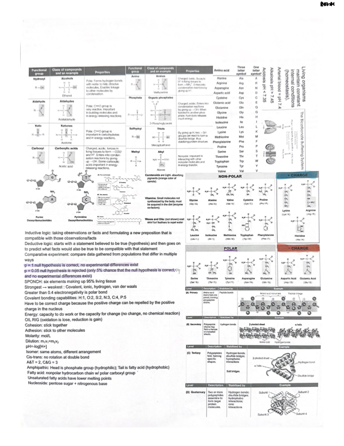 Biology 1 quiz cheat sheets - BIOSC 0150 - ⑳ QUIz #) QUIZ #T S - Studocu