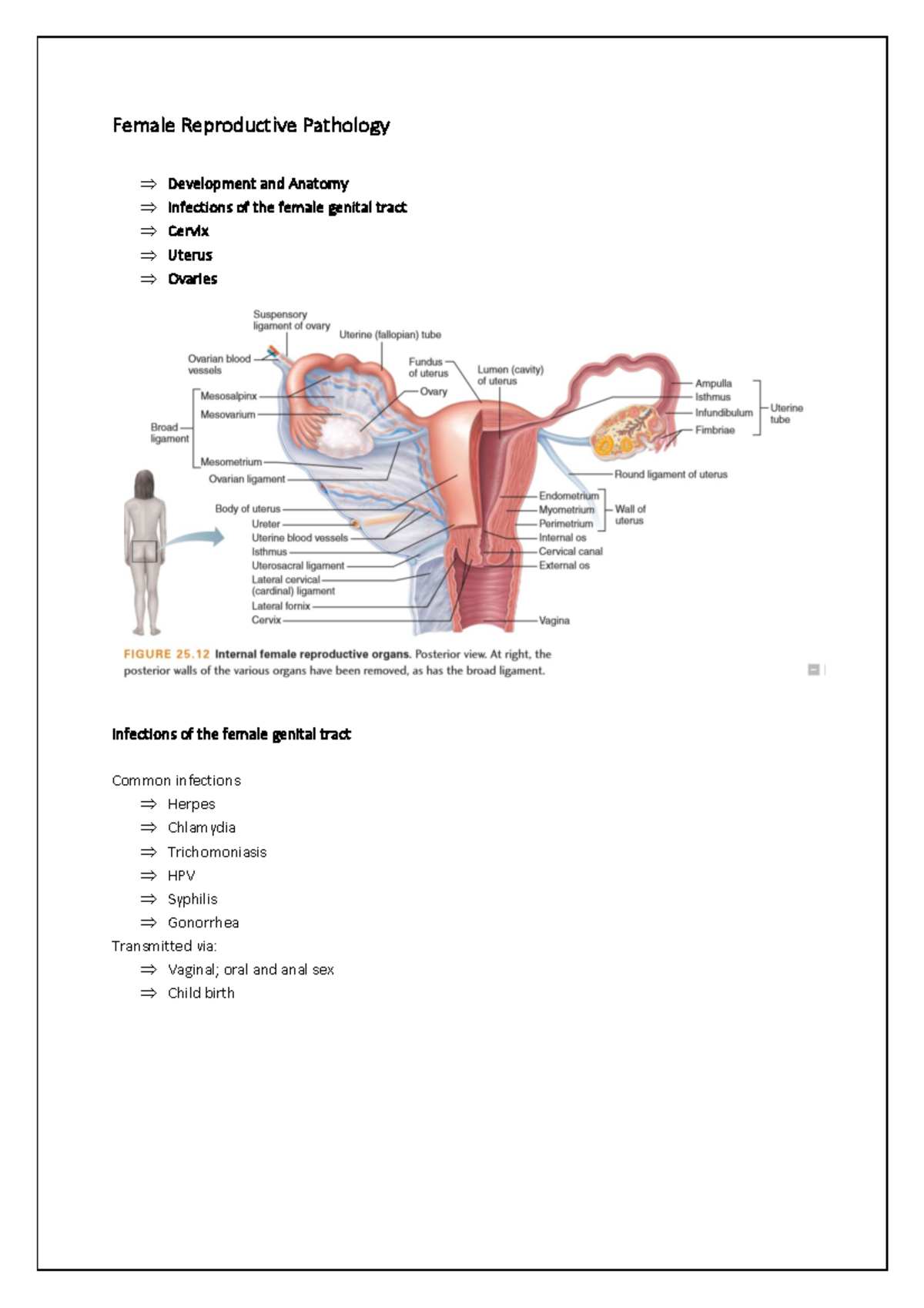 Female & Male Reproductive Pathology - Warning: TT: undefined function ...