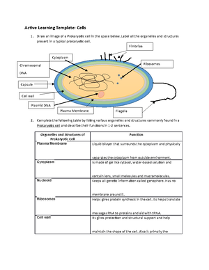 BIO 256 WK 5 LAB- Review OF WK 5 FOR EXAM 3 - BIOS-242 - Chamberlain ...