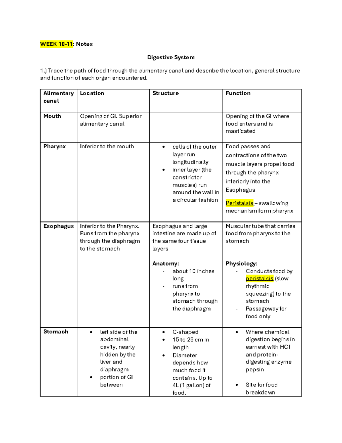 ANAT 5 - WEEK 10-11: Notes Digestive System 1.) Trace the path of food ...