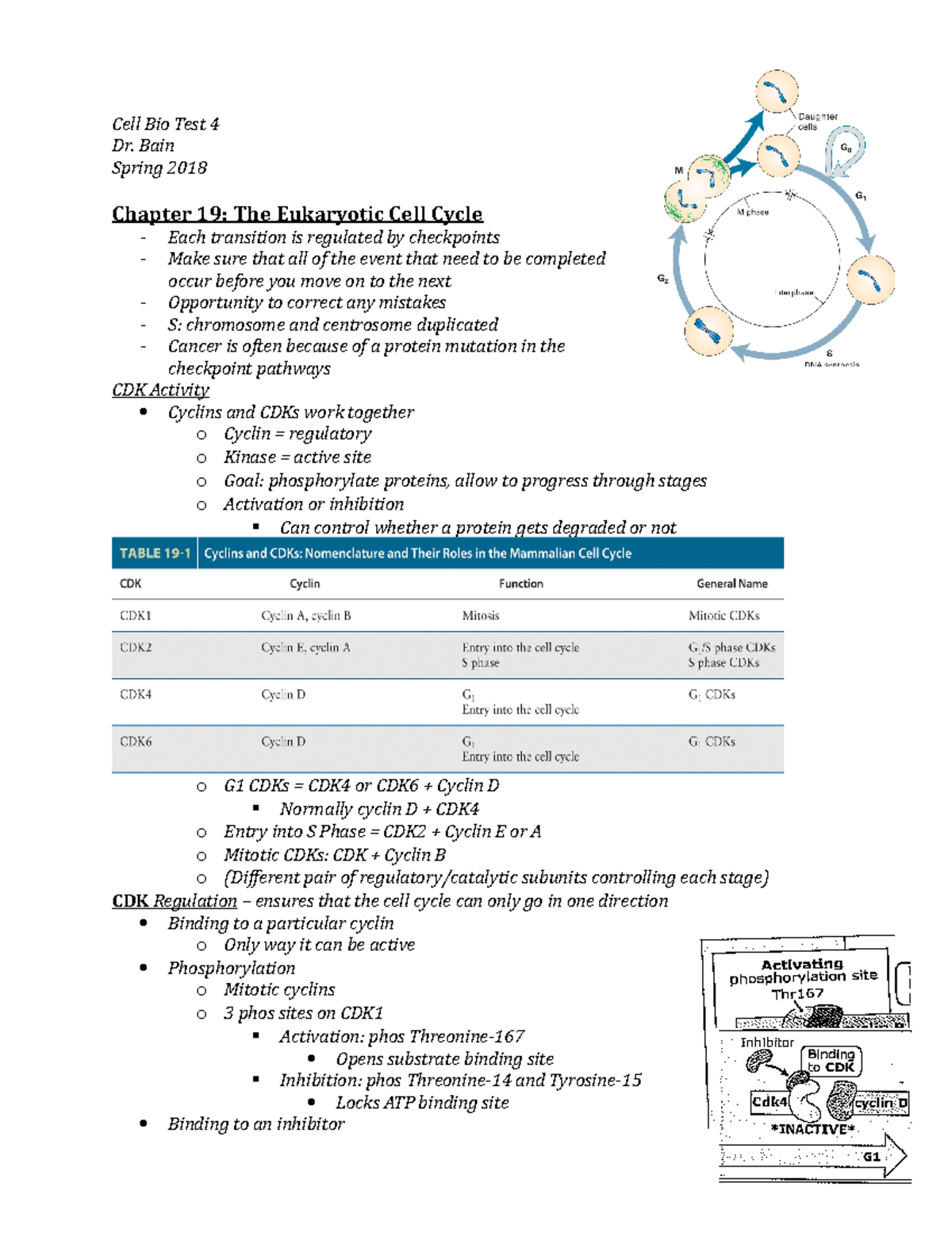Cell Bio Test 4 final study guide - Cell Bio Test 4 Dr. Bain Spring ...